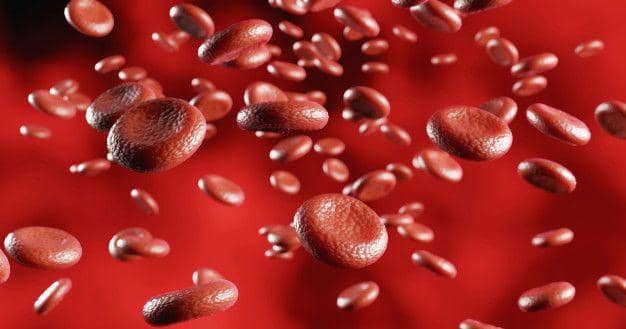 Mengenal Apa Itu Hemoglobin dan Kadar Normalnya | Popmama.com