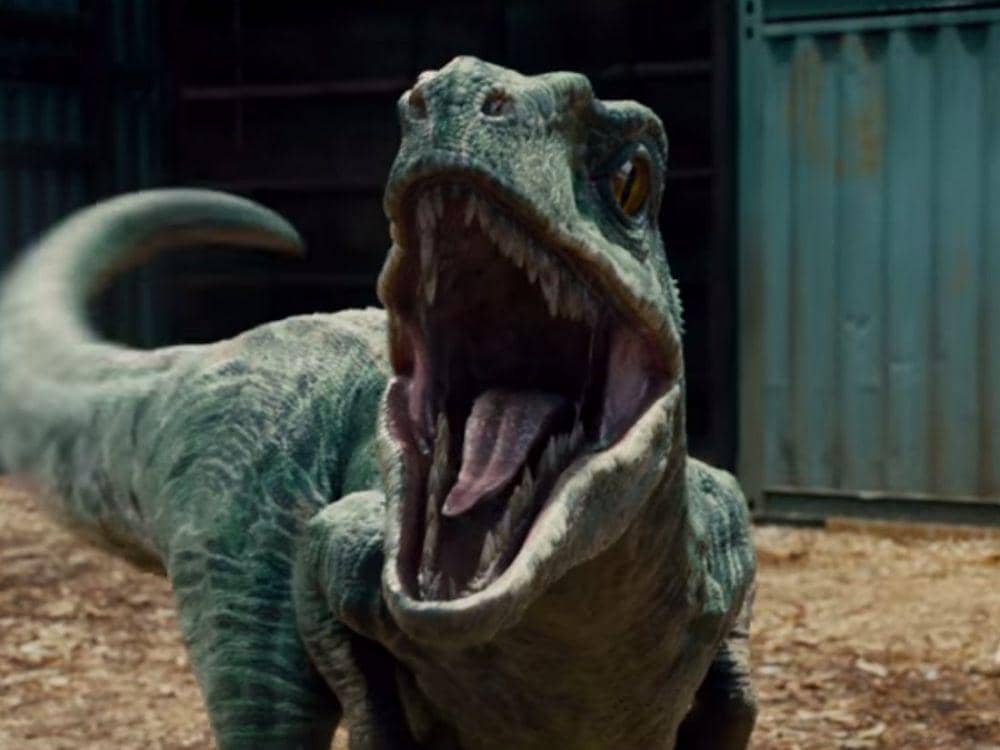 Selain Velociraptor, Ini 5 Dinosaurus Raptor yang Perlu Kamu Tahu | IDN ...