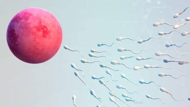 10 Urutan Rank ML dan Tips Push Rank Tertinggi Mythical Immo | Duniaku.com