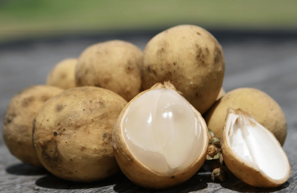 7 Nama Buah yang Unik di Kalimantan Selatan | IDN Times