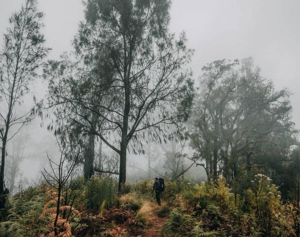 Gunung Angker di Indonesia Ini Terkenal dengan Pasar Setan | IDN Times