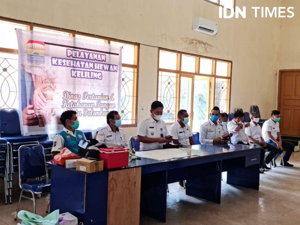 Palembang Punya 2 Puskeswan, Ada di Gandus dan Talang Jambe | IDN Times ...
