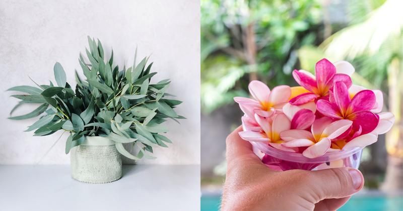 Profil Ivan Tanjaya, Co-Founder Holywings | FORTUNE Indonesia