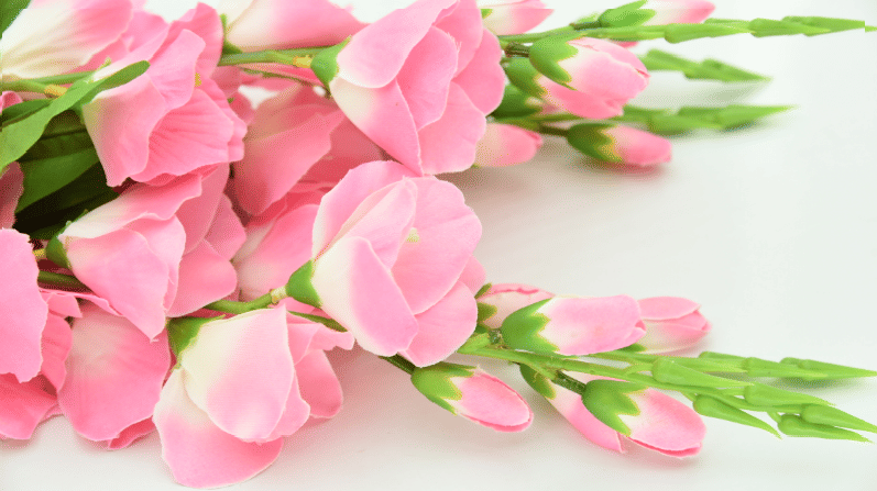 11 Bunga Cantik dengan Makna yang Tak Kalah Indah, Sweet! | IDN Times