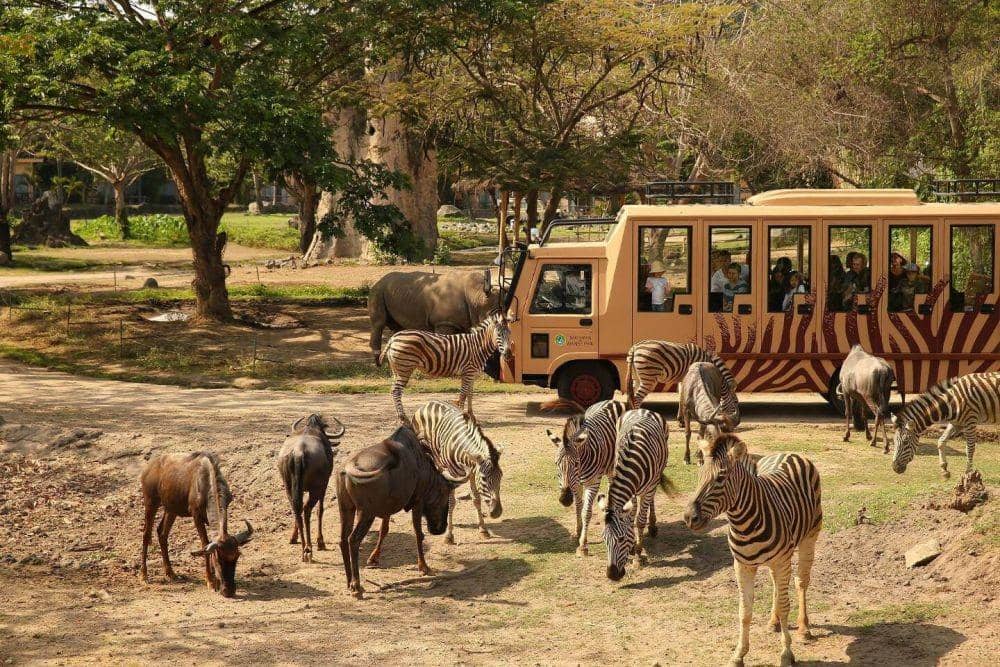 10 Tempat Wisata Edukasi Terpopuler di Indonesia untuk Anak | IDN Times