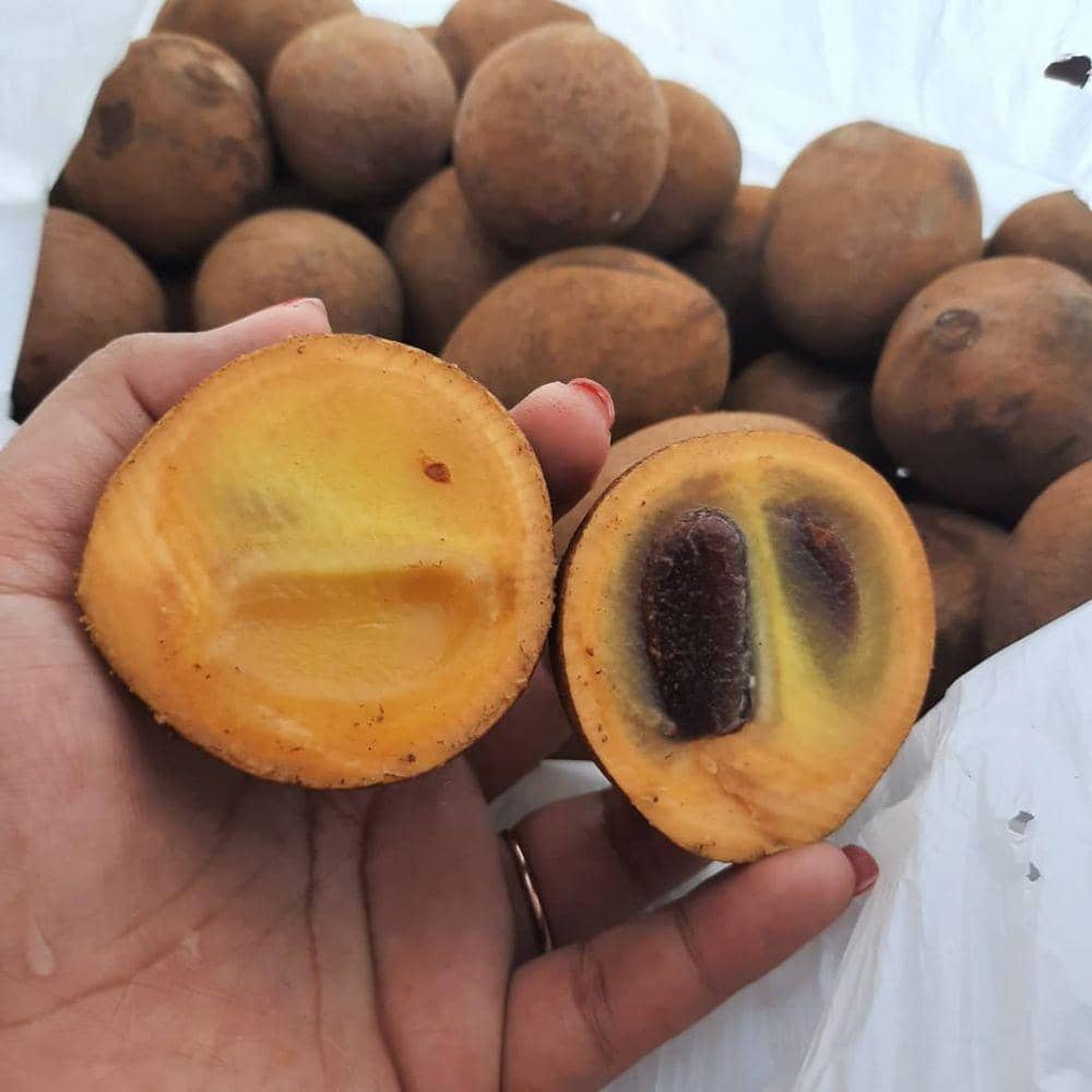 15 Buah Asli Indonesia yang Keberadaanya Langka | IDN Times