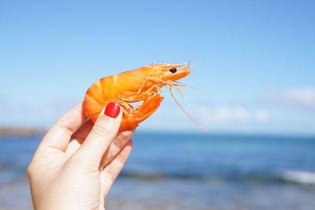 5 Perbedaan Shrimp dan Prawn, Rasanya Gak Beda ya? | IDN Times
