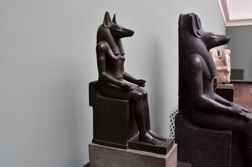 5 Fakta Tentang Anubis, Dewa Bertubuh Manusia dengan Kepala | IDN Times