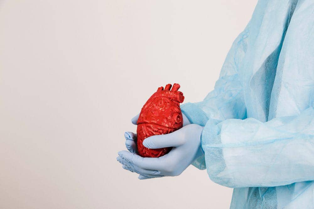 7 Harga Organ Tubuh Manusia jika Dijual di Pasar Gelap | IDN Times