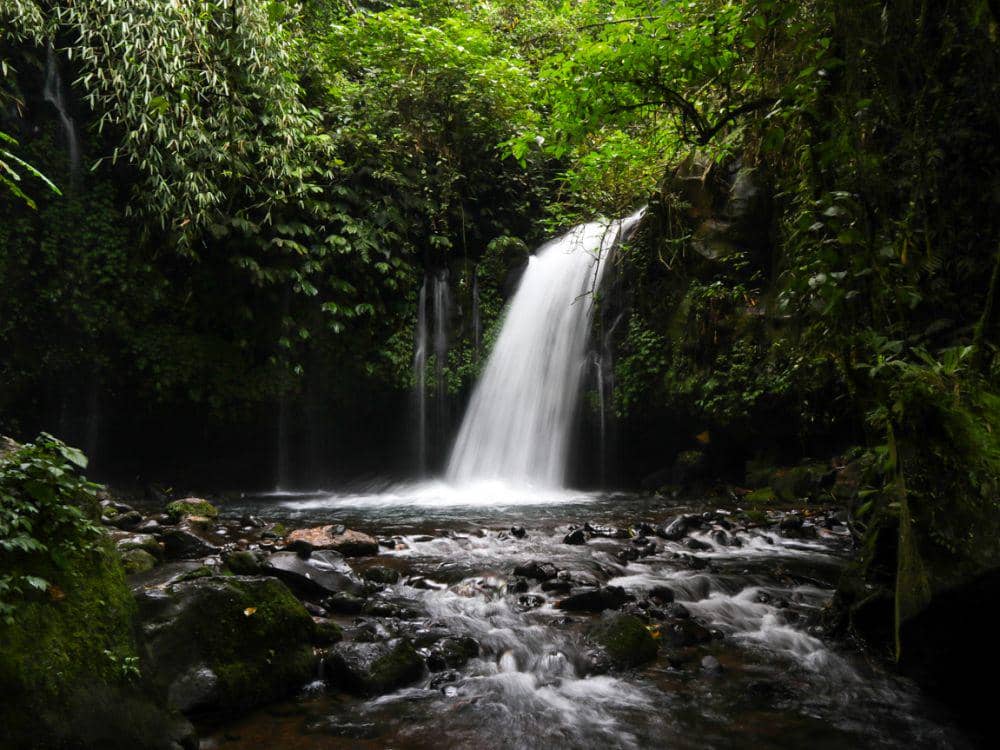 Tiket Masuk Air Terjun Yeh Hoo, Wisata Sejuk di Jatiluwih | IDN Times Bali