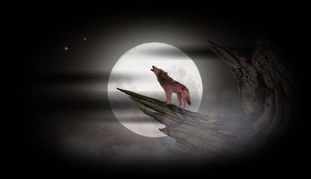 Skinwalker, Penyihir yang Bisa Berubah Bentuk Menjadi Hewan | IDN Times