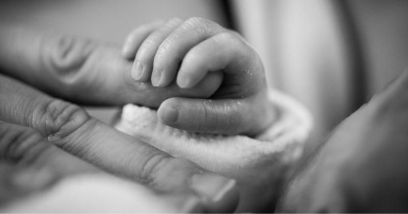 Bacaan Rawi Maulid Nabi, Lengkap Tulisan Latin dan Artinya | IDN Times