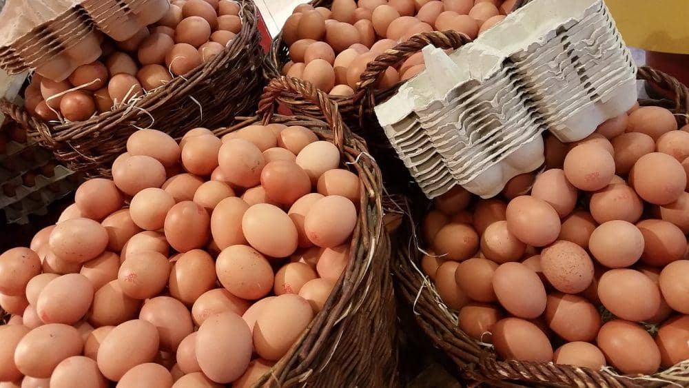 Jelang Ramadan, Harga Telur Tembus Rp60 Ribu Per Papan | IDN Times Sumut