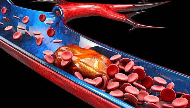 Ciri-Ciri Pembuluh Darah Arteri: Ini Bedanya dengan Vena | IDN Times