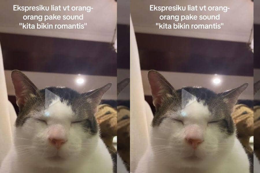 8 Meme Lagu Kita Bikin Romantis yang Bikin Ngakak, Kocak! | IDN Times