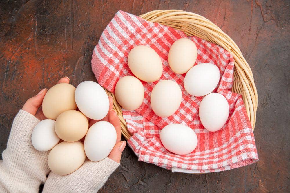 Telur Termahal di Dunia | IDN Times