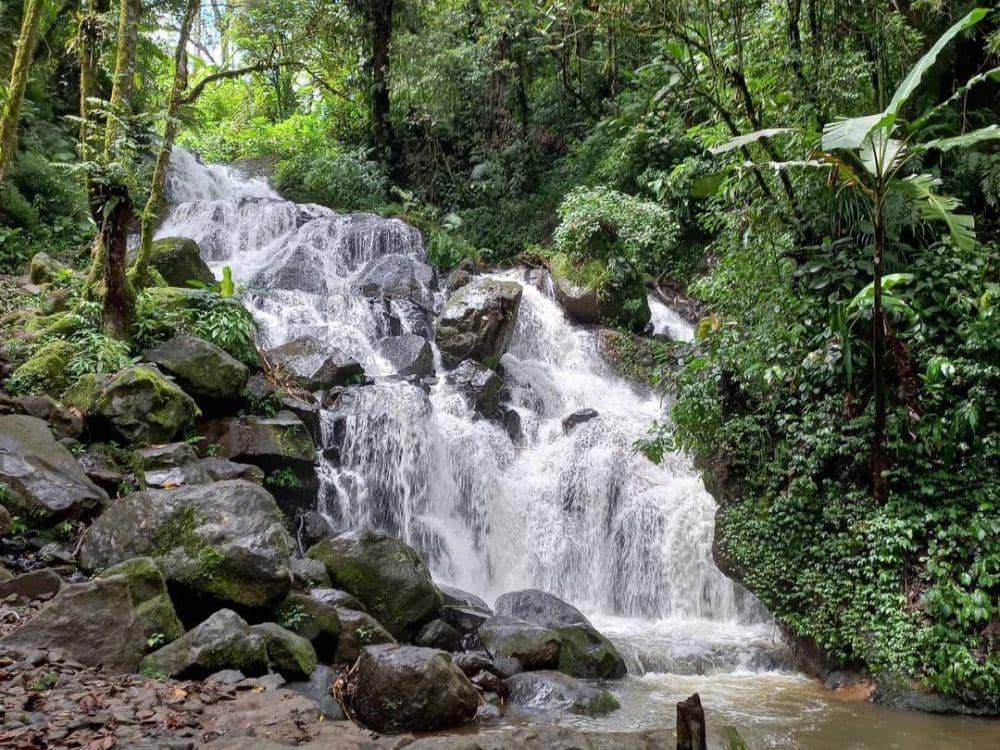 Curug Awi Ciwidey: Lokasi, Harga Tiket, dan Tips Wisata | IDN Times