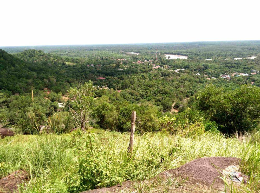 Bukit Tangkiling: Info Lokasi, Harga Tiket, dan Daya Tarik | IDN Times
