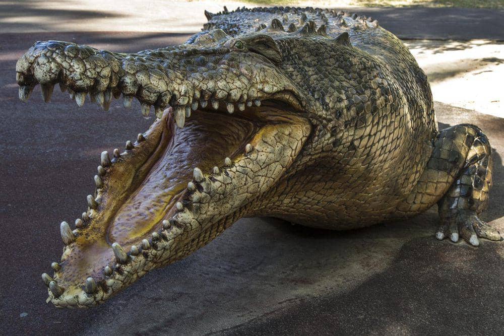 8 Fakta Unik Buaya Muara, Reptil Terbesar di Dunia! | IDN Times