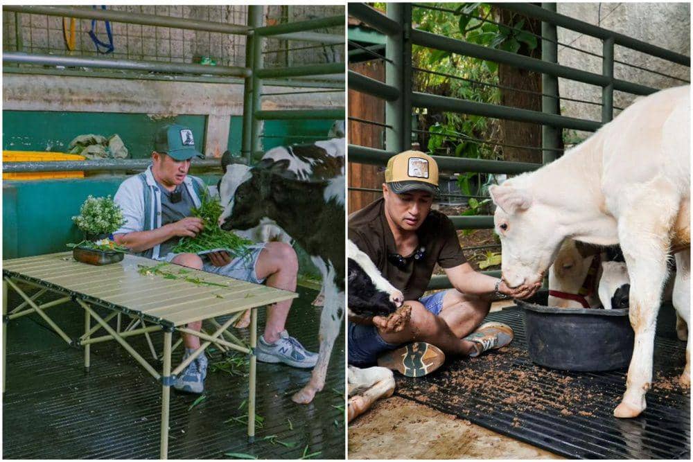 10 Potret Kedekatan Irfan Hakim dengan Sapi Kerbau Miliknya | IDN Times