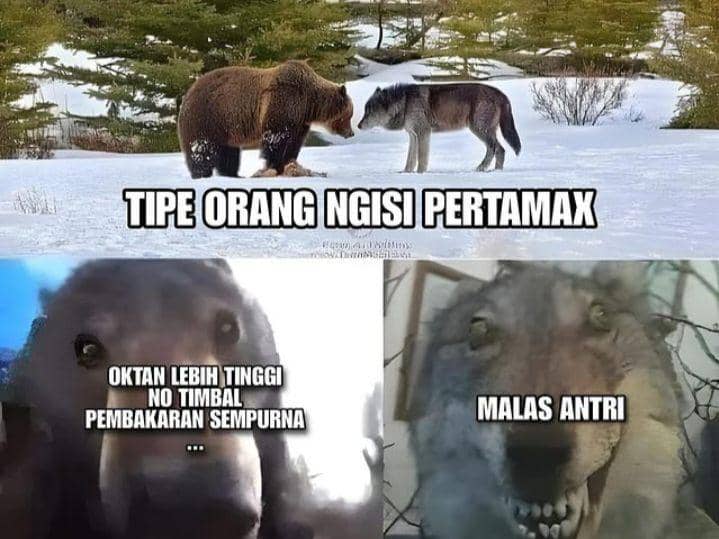 8 Meme Kejadian di POM Bensin, Pilih Pertamax biar Gak Antre | IDN Times