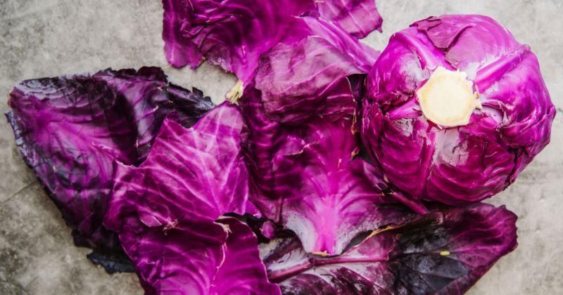 Epson Indonesia Luncurkan Epson EcoTank L3211 dan L3251 | IDN Times