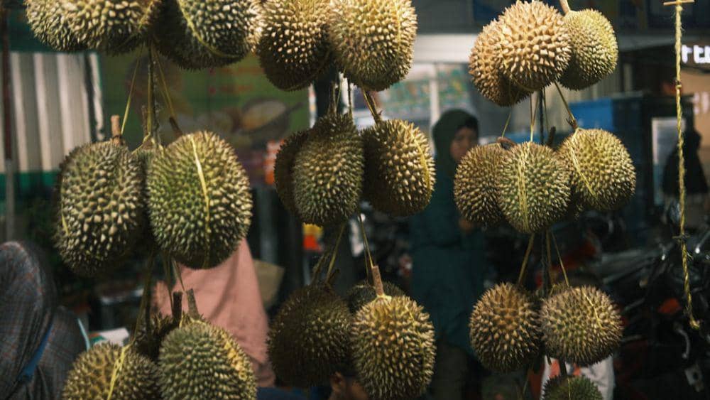 Festival Durian di Sleman Digelar Akhir Bulan, Ini Biayanya | IDN Times ...