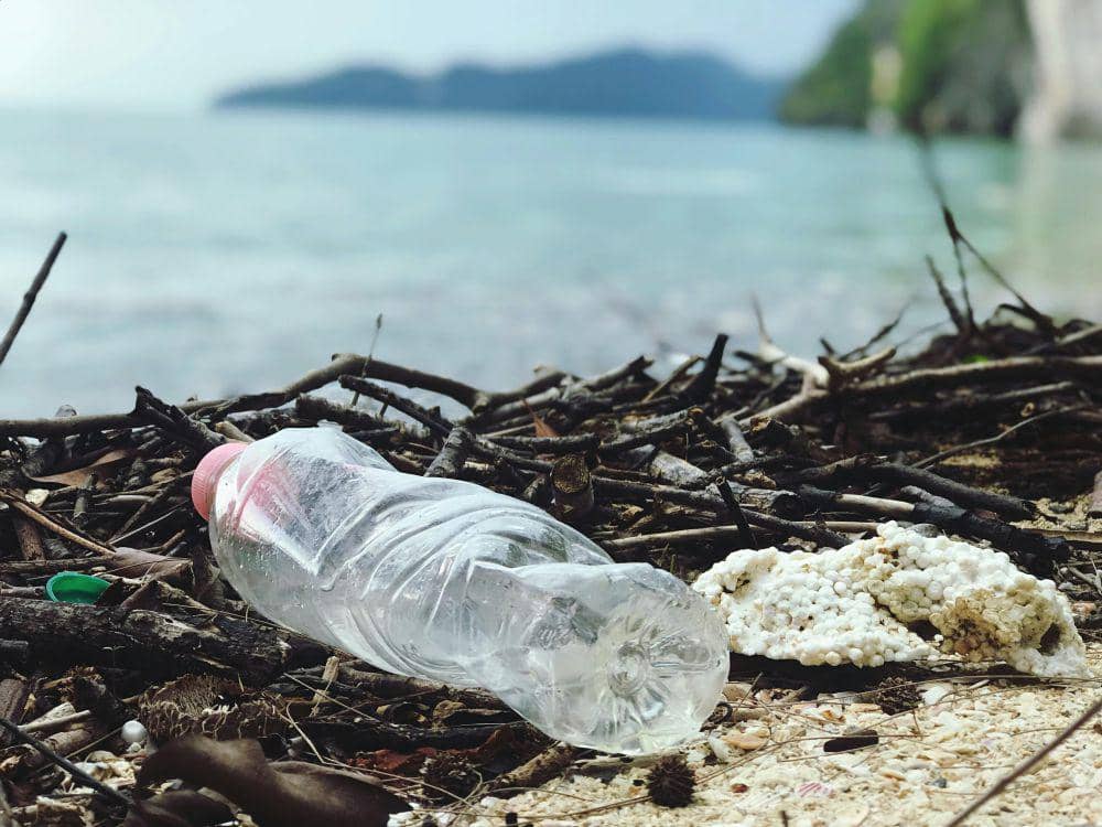 5 Cara Memanfaatkan Botol Plastik Bekas agar Bernilai | IDN Times