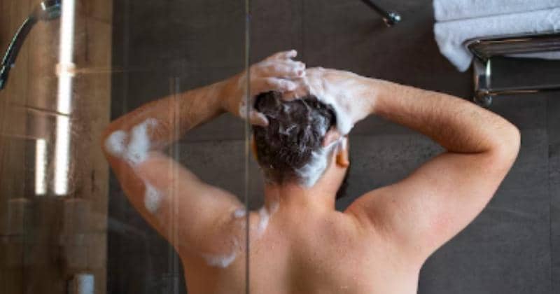 12 Makna Bunga Daisy Secara Umum dan Tiap Warnanya | IDN Times