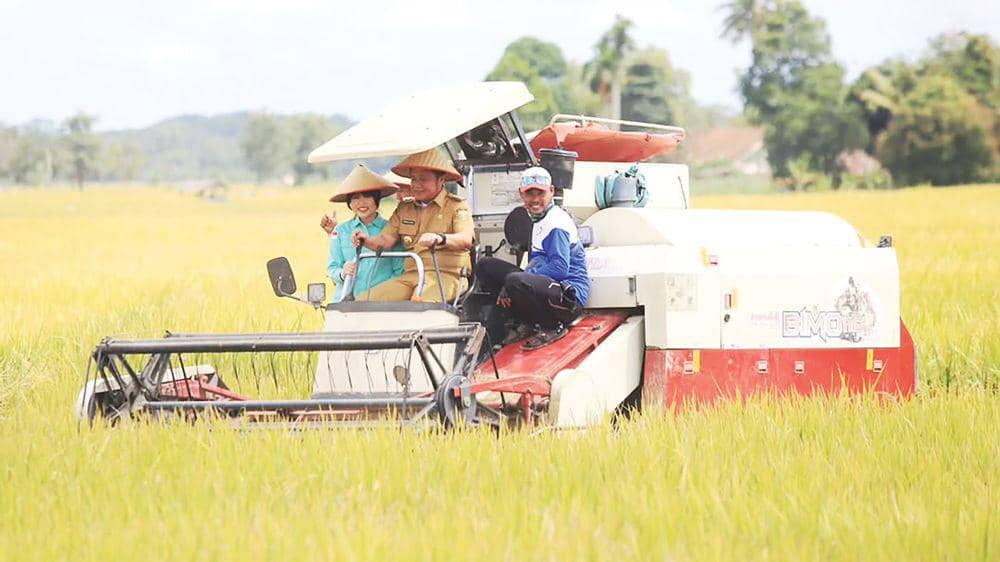 Produksi Padi 3 Terbesar di Sumsel, Petani OKI Panen Bareng | IDN Times ...