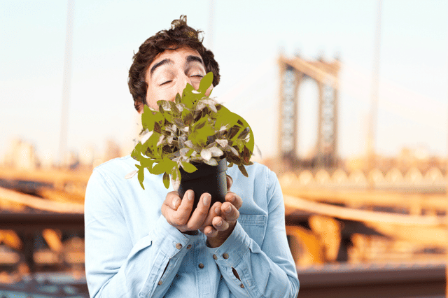 Siapa Hirotada Radifan? | IDN Times