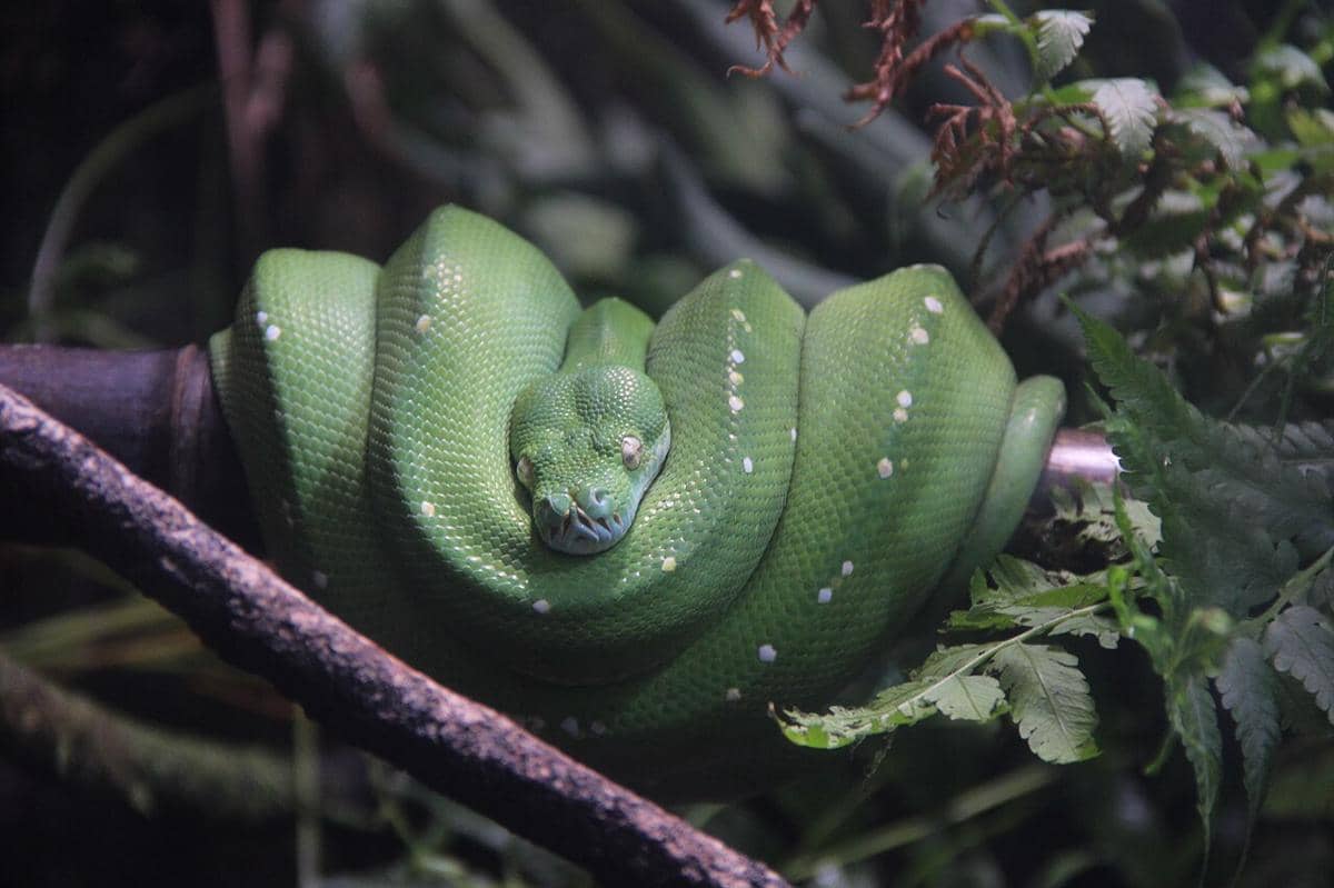 11 Rekomendasi Film Dewasa Indonesia Jadul Era 70-80-an | Popbela.com