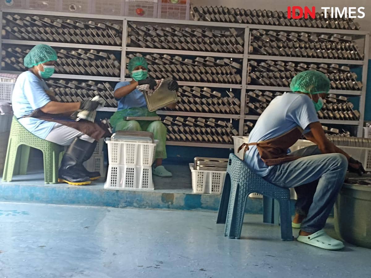 Gaji Ahli Gizi SPPG dan Kondisi Kerjanya | IDN Times