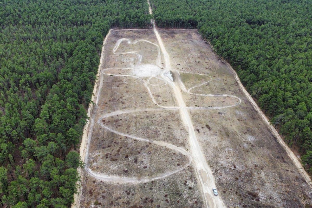 Hutan Ditebang Satu Hektar, Berapa Ribu Liter Air yang Gagal Terserap ...