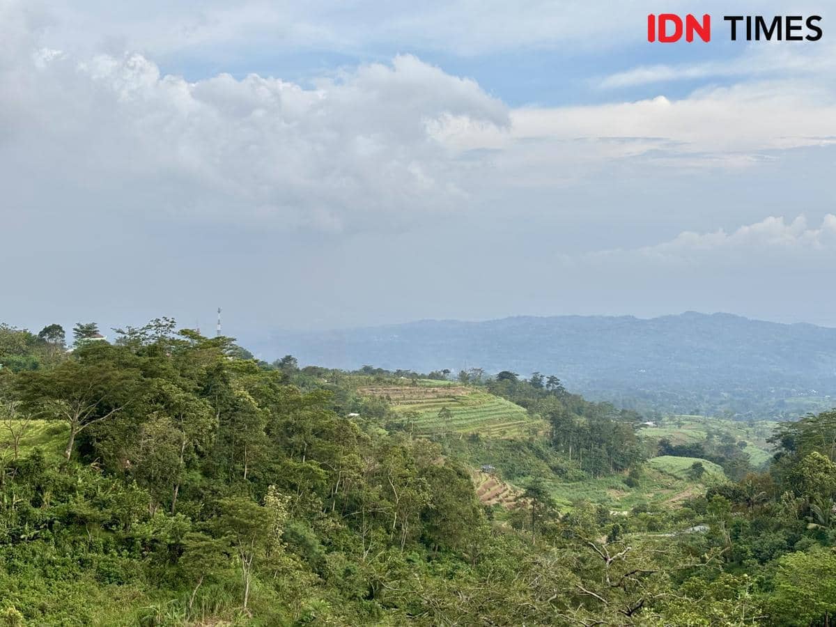 Pelarian Rifa dari Patah Hati Menjaga Asa Warga Lereng Gunung Muria ...