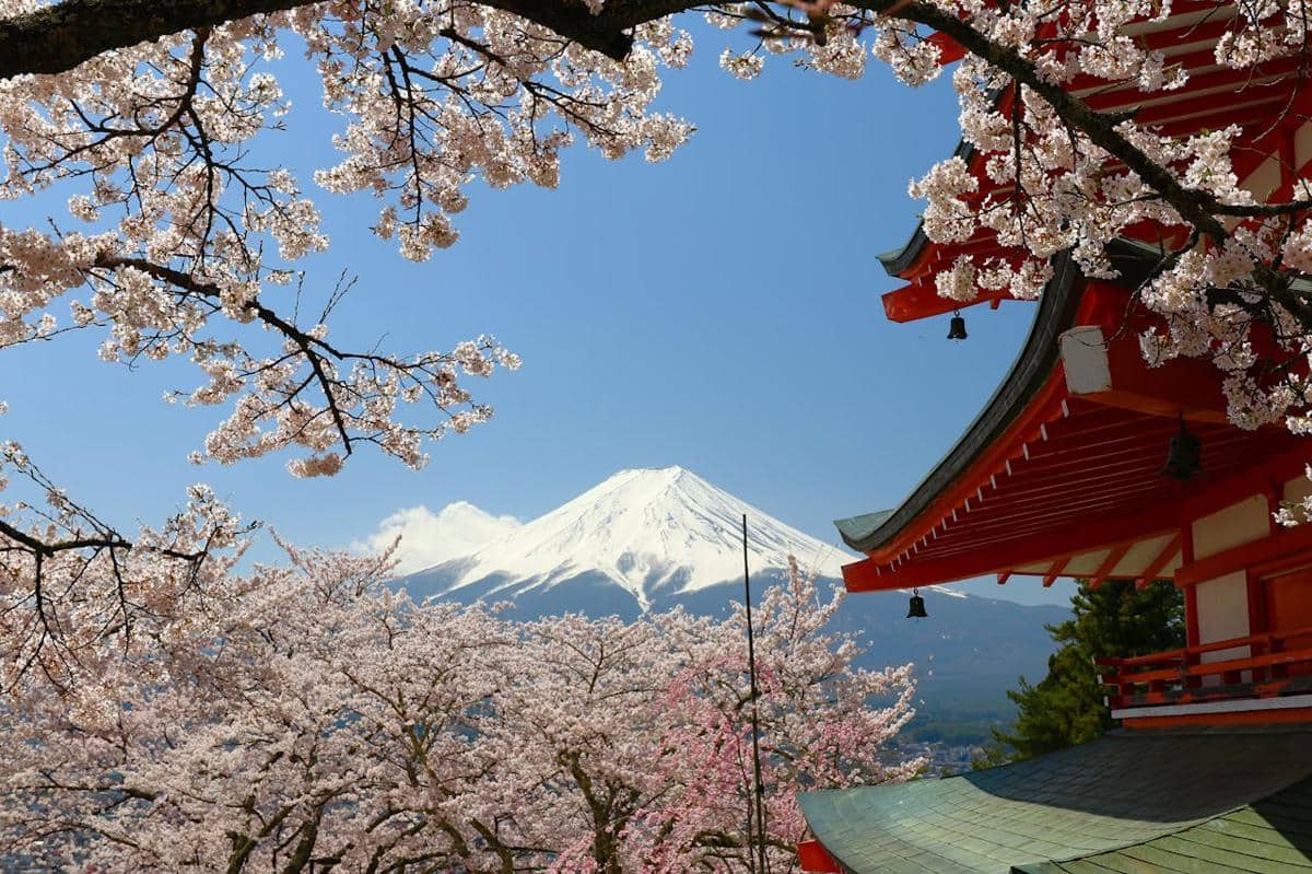 7 Spot Sakura Terbaik di Jepang untuk Hanami | IDN Times