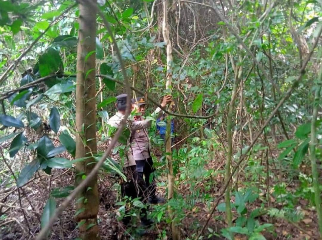 BKSDA Lacak Serangan Beruang Madu di Musi Rawas | IDN Times Sumsel