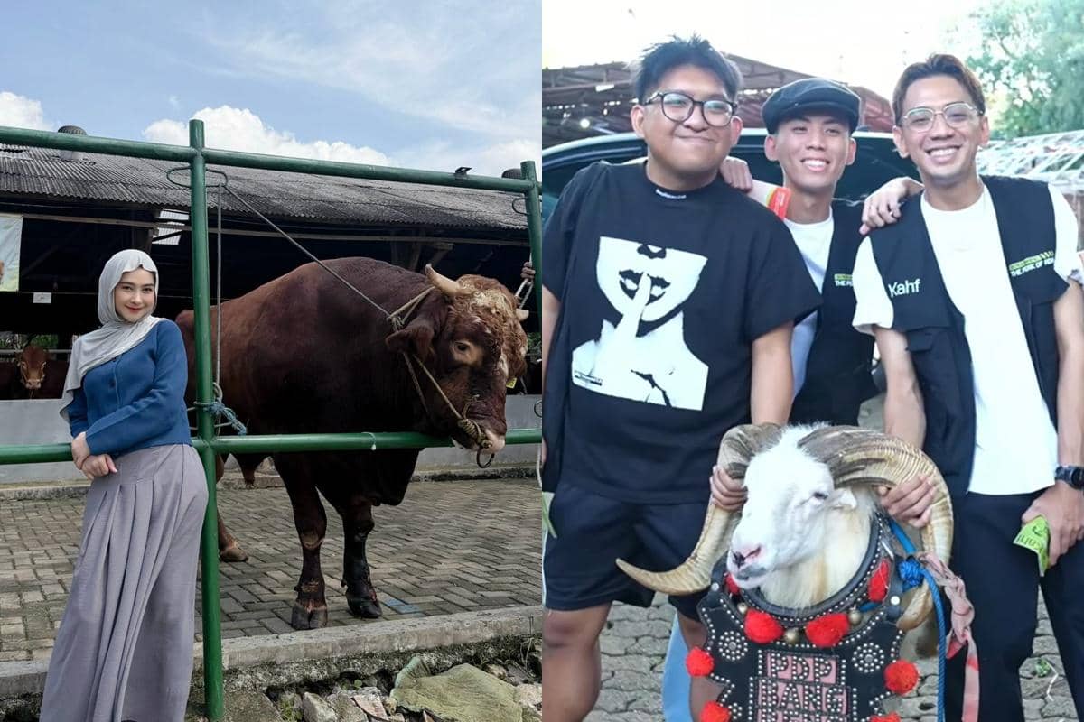 Artis Indonesia Beli Hewan Kurban Idul Adha 2026 | IDN Times